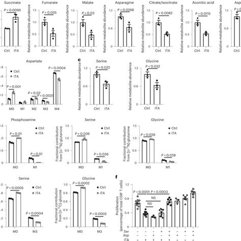 Secretion Of Itaconate From Mdscs A Ms Based Profiling Of Metabolites