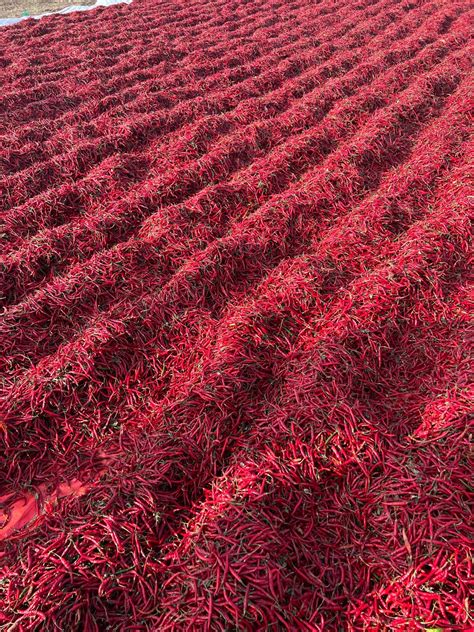 Jesper Danielsson Posted On Linkedin