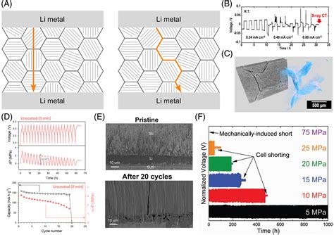Advances Of Sulfide‐type Solid‐state Batteries With Negative Electrodes