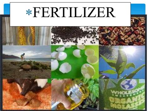 Perform Estimation And Calculation Pptx