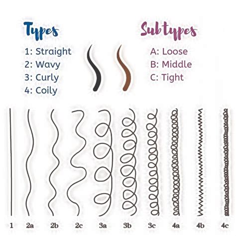 The Ultimate Curl Pattern Guide Artofit