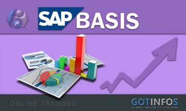 SAP BASIS ONLINE TRAINING GotInfos