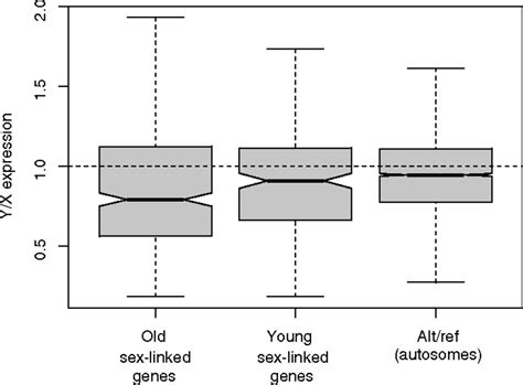 Genetic Degeneration Of Old And Young Y Chromosomes In The Flowering