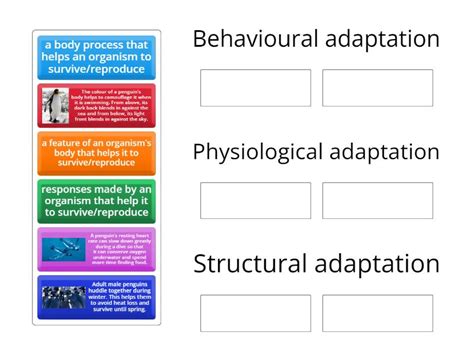 Adaptations Group Sort