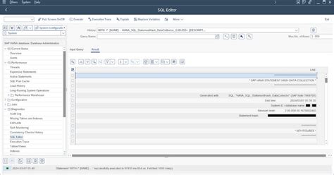 Sql Statement Collection For Sap Hana The Output Is Right Aligned R