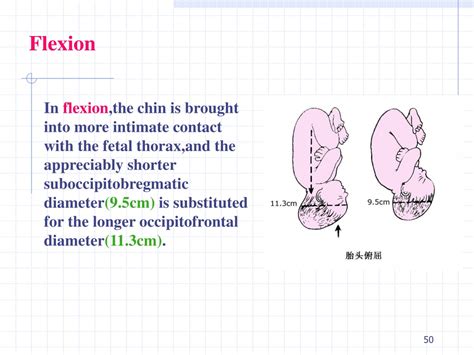 Ppt Normal Labor Or Delivery Powerpoint Presentation Free Download