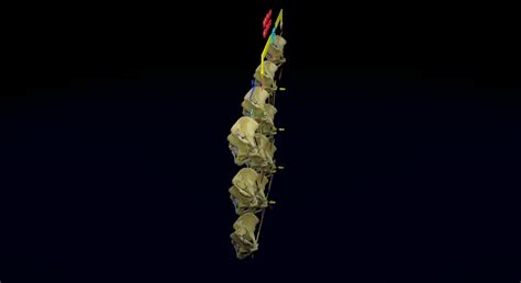 Pelvis Fracture Classifications 3d Model Superhive Formerly Blender