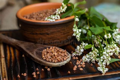 Flores De Trigo Negro La Semilla De Cereales Sanos En La Cocina Del