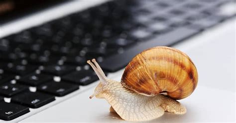 Why Is My Mac Running Slow And How To Make It Fast Again The Mac Observer