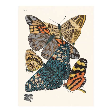 Papillons Butterflies Giclee Reproduction Art Print By Emile Allain Seguy Chairish