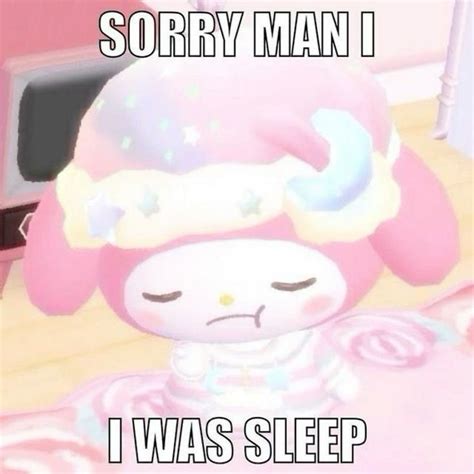 My Melody Meme Hello Kitty Memes Sanrio Reaction Pics Sanriocore