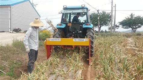 마늘수확기 태창농기계 무진동마늘수확기 Youtube