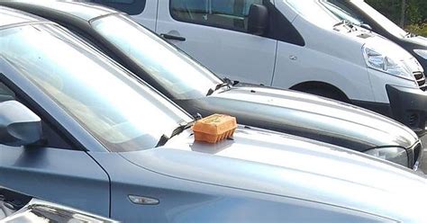 Eggs On A Bonnet Imgur