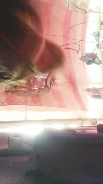 February 12 2025 Youtube