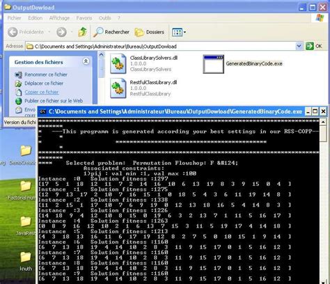 Example Of An Execution Of The Binary Code In The Researcher Side Download Scientific Diagram
