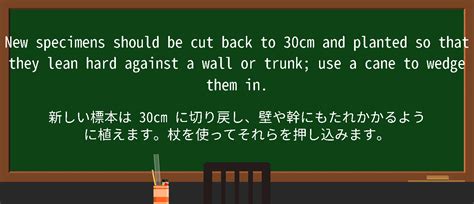 【英単語】lean Hardを徹底解説！意味、使い方、例文、読み方