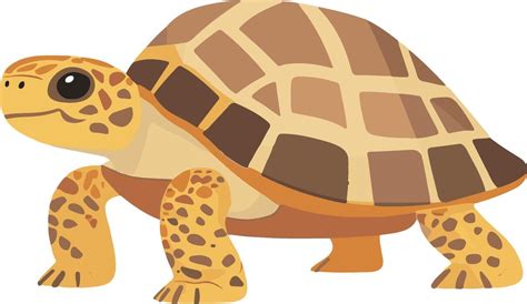 Gopher Tortoise Vector Art Icons And Graphics For Free Download
