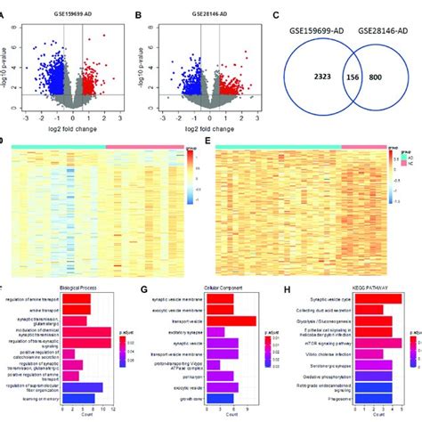 Differential Analysis Of T2dm Volcano Plot Of Gse38642 A And
