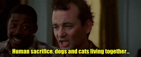 Windows Dev Docs WindowsDocs Twitter