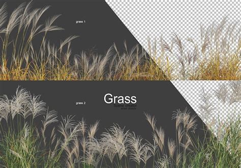 Kamut Grass Psd High Quality Free Psd Templates For Download