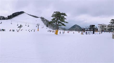 ホワイトリゾート大山スキー場積雪 大山 ゲレンデ雪情報 Sklf
