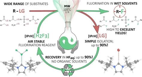 如何区分亲核与亲电反应？从反应机理到典型应用的全解析 华算科技