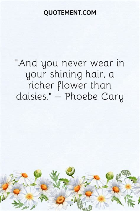 130 Lovely Daisy Quotes To Cherish Its Power And Beauty