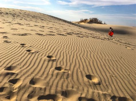 Monahans Sandhills State Park Is A Fairytale Spot In Texas State Parks National Park Vacation