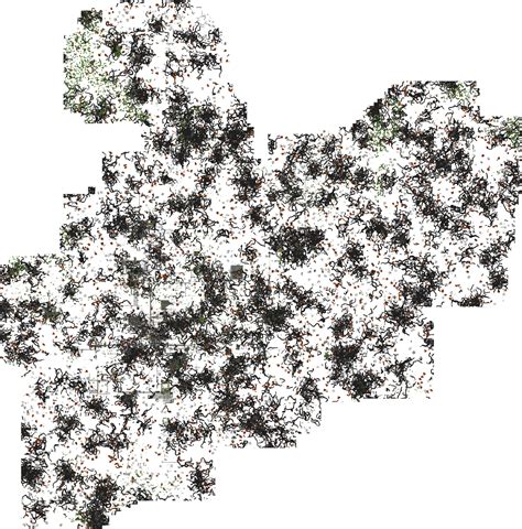 Download Abstract Cave Network Map