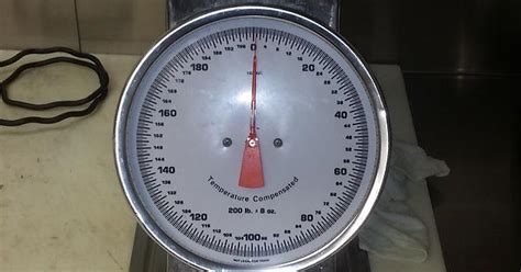 Happy Scale Is Happy Imgur