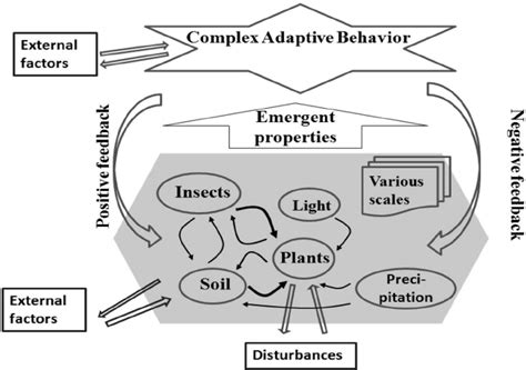 Simplified Diagram Depicting Forests As Complex Adaptive Systems Download Scientific Diagram