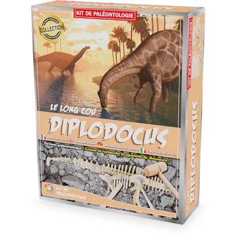 Kit De Paléontologie Diplodocus