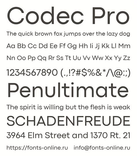 Codec Pro Font
