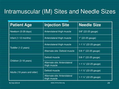 Needle Gauge Sizes For Im Injections At George Redden Blog