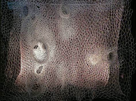 Branching Morphogenesis — Sabin Design Lab