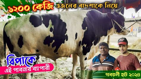 বড় গরু নিয়ে টেনশন বেপারীদের কেউ দামই বলছে না এই গরু গুলোর গাবতলী হাট ২০২৪ রাখালের কথা Youtube