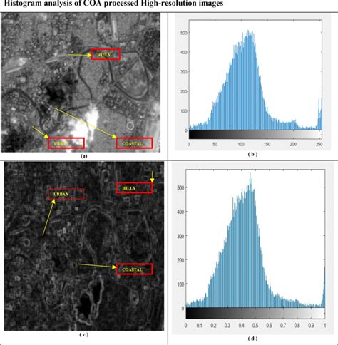 histogram analysis of coa treated high resolution images a cat