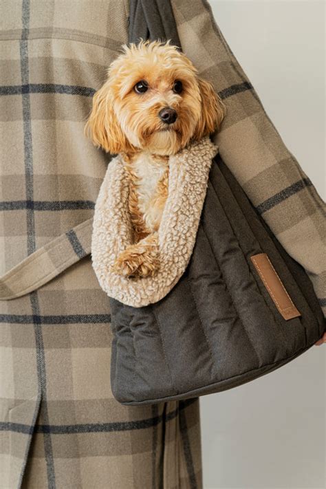 Hunting Pony | The products made with care of Pets – Hunting Pony EU