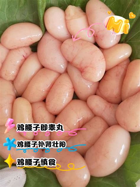 鸡腰子是肾还是睾丸