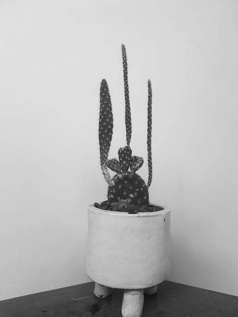 Premium Photo Mini Cactus Tree With Mini Pots