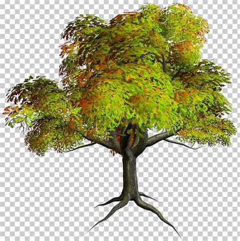 Tree PNG Clipart D Rendering Animation Architectural Rendering Branch Computer Icons Free