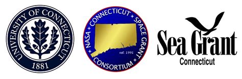 Home Fluids Reduction Nonlinearity And Turbulence Fluent Lab