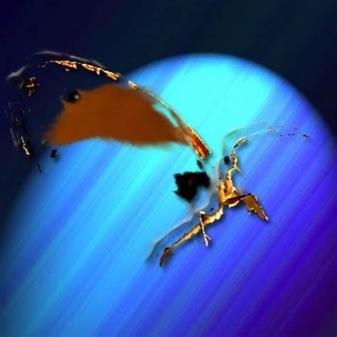 Alex Glowacki Youtube