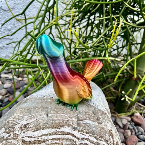 Dick Bird Pigeon Dove Penis Cock Dino Dick Dickasaurus Rex Etsy