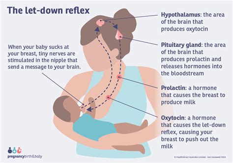 Nursing Let Down Milk At Jayne Griffin Blog