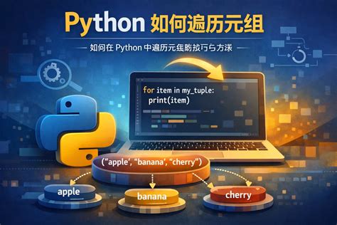 Python 如何遍历元组