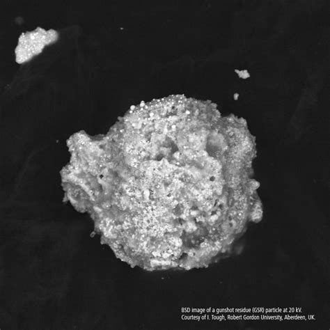 Workshop On Microscopy In Forensics Sciences Microxchile