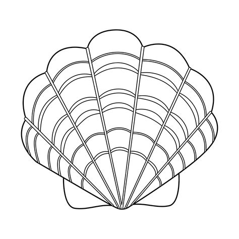 Premium Vector Seashell Black And White Outline Art Therapy Coloring Page