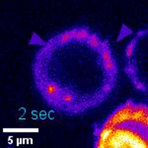 [video] David Huesmann Posted On Linkedin