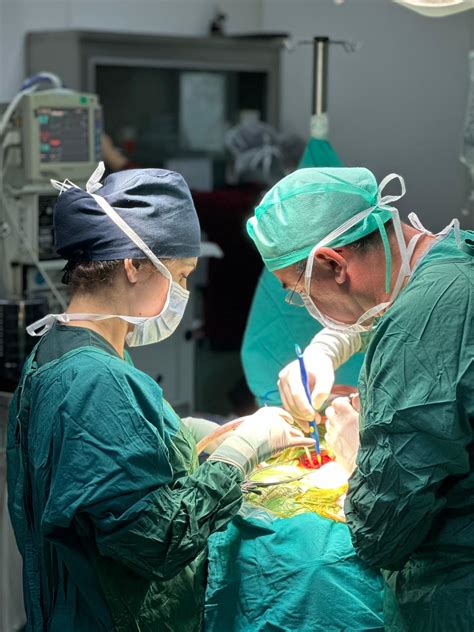 Posterior Cervical Pedicular Screws Orthic